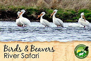 Bozeman Montana Scenic Float Trips, River Rafting & Tubing - AllTrips