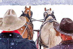 Bozeman Montana Sleigh & Wagon Rides - AllTrips